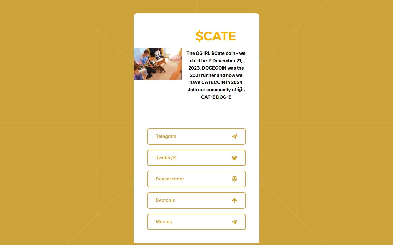 First Cate On Solana